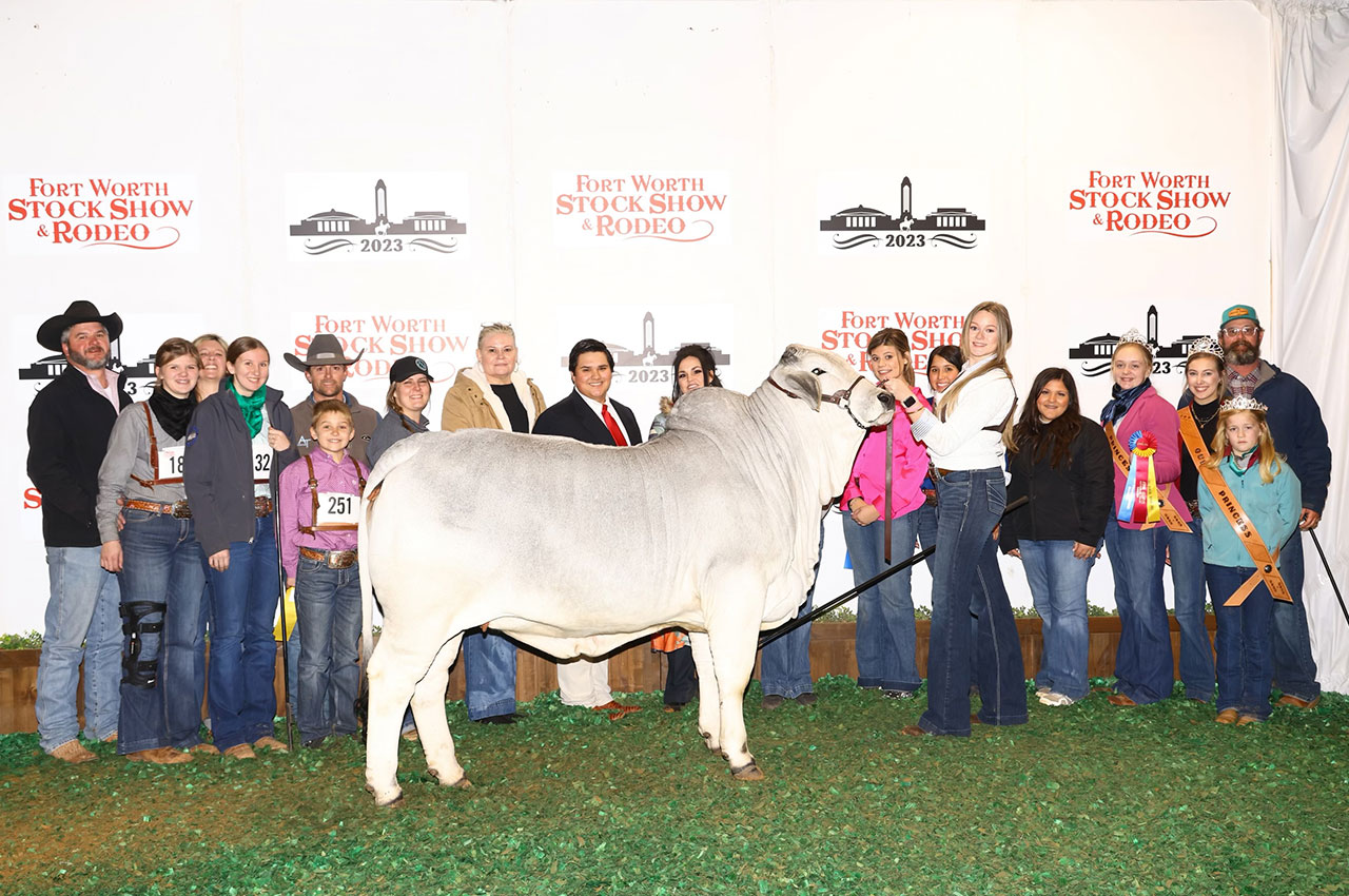 LOT 06-CJ BAR MISS BIANCA 40/1- IVF FLUSH